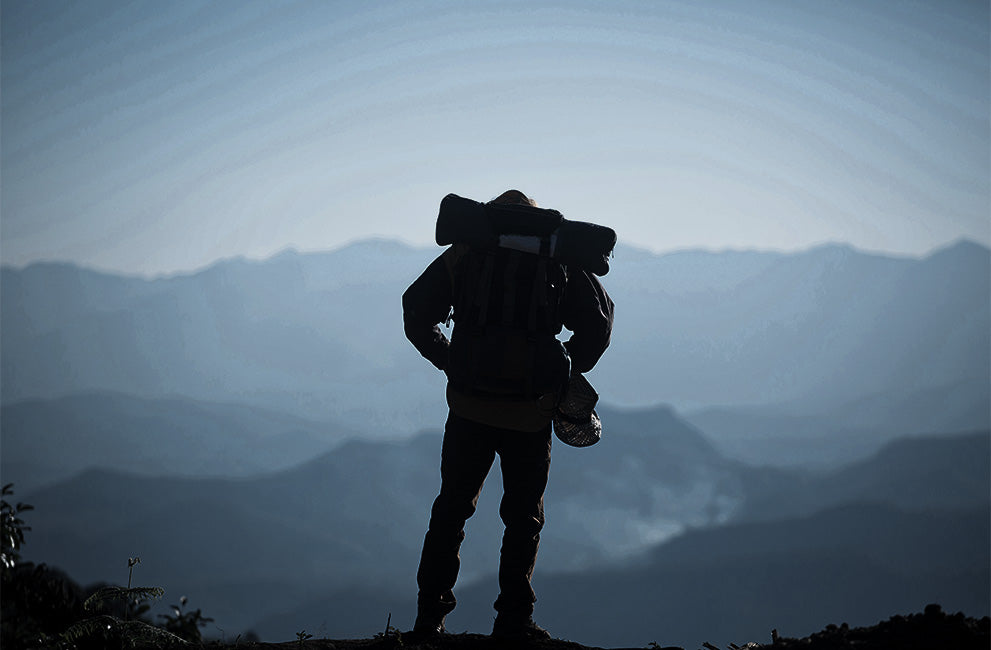 Surviving COVID-19 – Xanita